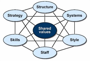 Organisatie-diagnose met het 7-S Model van McKinsey | SBO Blog